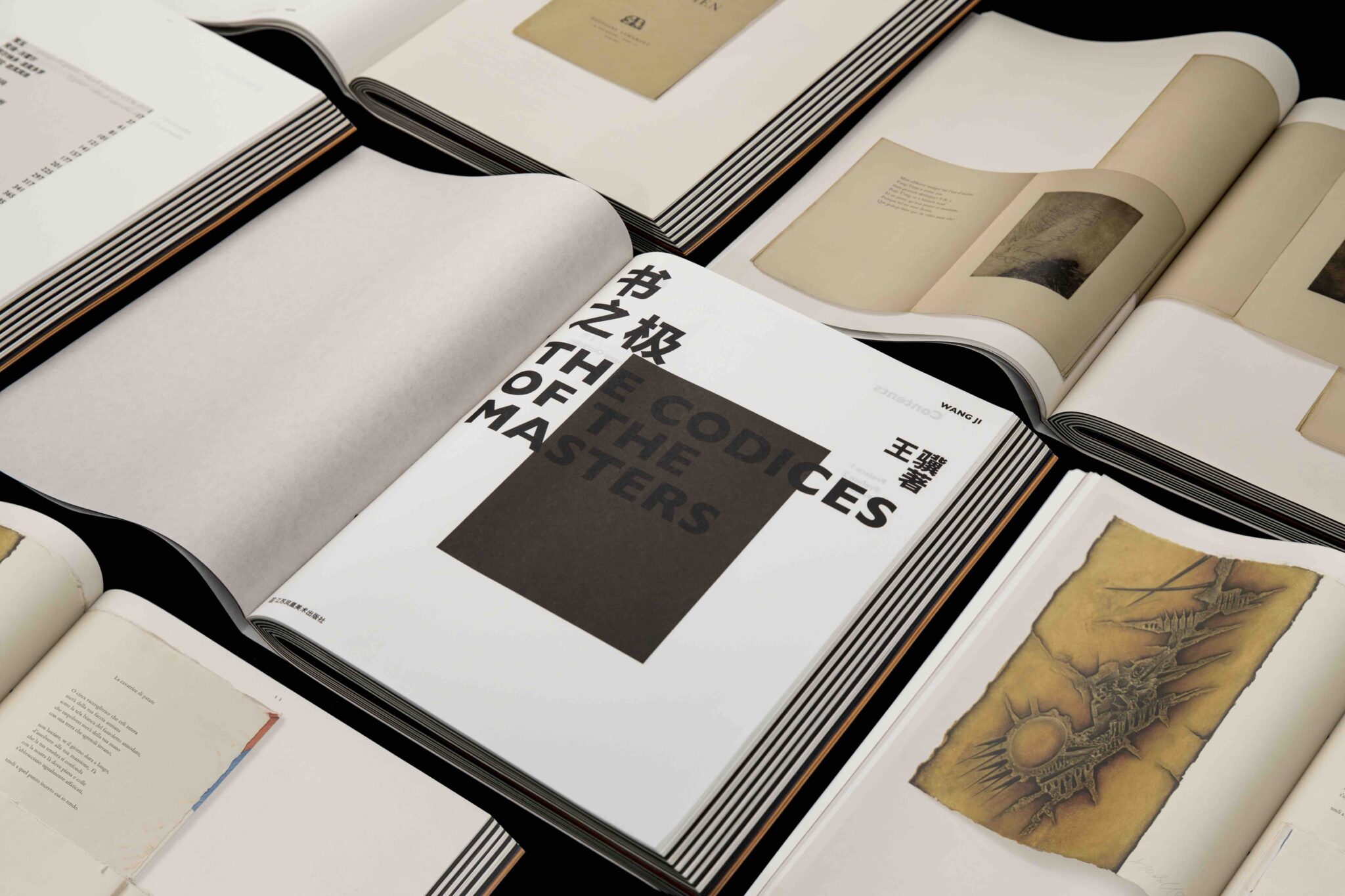 The Most Beautiful Book | THE CODICES OF THE MASTERS - Artron